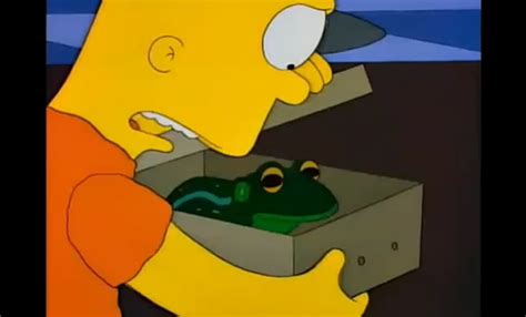 La Rana De Bart Simpson Y Las Especies Invasoras Greenpeace Chile