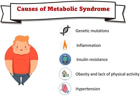 Causes Of Metabolic Syndrome Mets Download Scientific Diagram