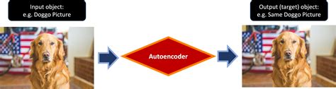 Hands On Time Series Anomaly Detection Using Autoencoders With Python Towards Data Science