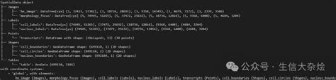 Spatialdata：空间组学数据的统一框架与xenium5k下机数据读取实战数据组学 Csdn博客