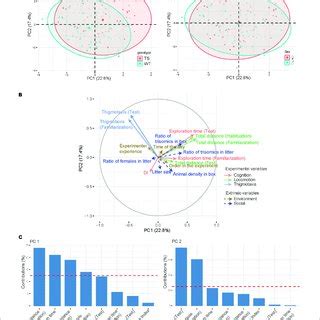 Principal Component Analysis A PCA Plotting The First Two