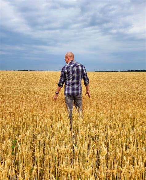 Nataliya Beuzelin Cgss Posted On Linkedin