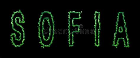 Sofia Forest Sofia Urban Canopy Stock Illustration Illustration Of Reduce Resilience 370883906