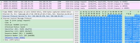 Icmp报文详解之ping实现struct Icmp Csdn博客