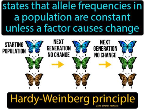 Hardy Weinberg Principle Easy Science Principles Life Science Easy Science