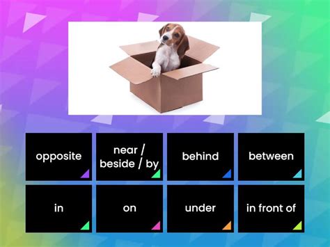 prepositions of place 1 查找匹配項