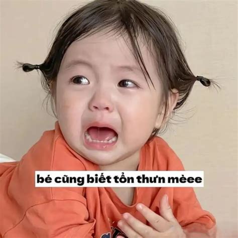 Những Meme Cute Siêu Dễ Thương Bạn Không Thể Bỏ Lỡ