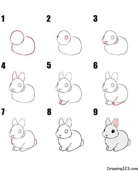 How To Draw A Realistic Rabbit Step By Step