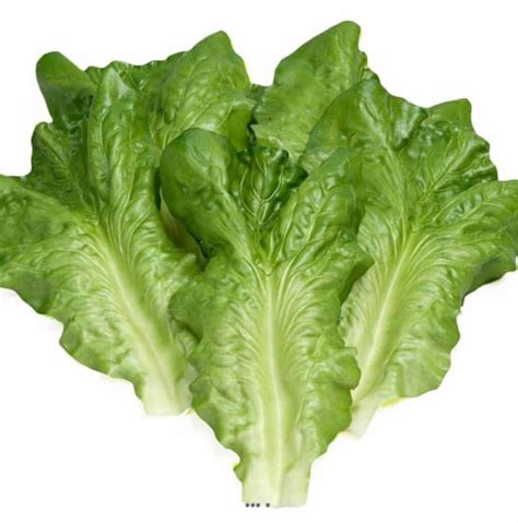 Feuilles De Salade Laitue Artificielle Laitue X6 En Latex Superbe Jardiland
