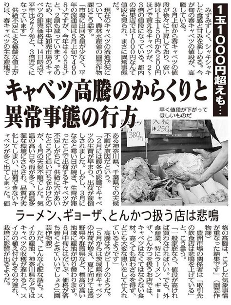 春キャベツが1玉1000円超えも価格高騰のカラクリと異常事態の行方（日刊ゲンダイ） 赤かぶ