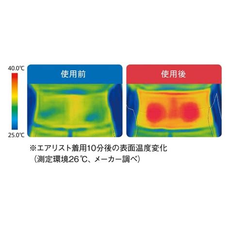 Calmme Airyst カームミー エアリスト 温熱emsベルト フェニックス