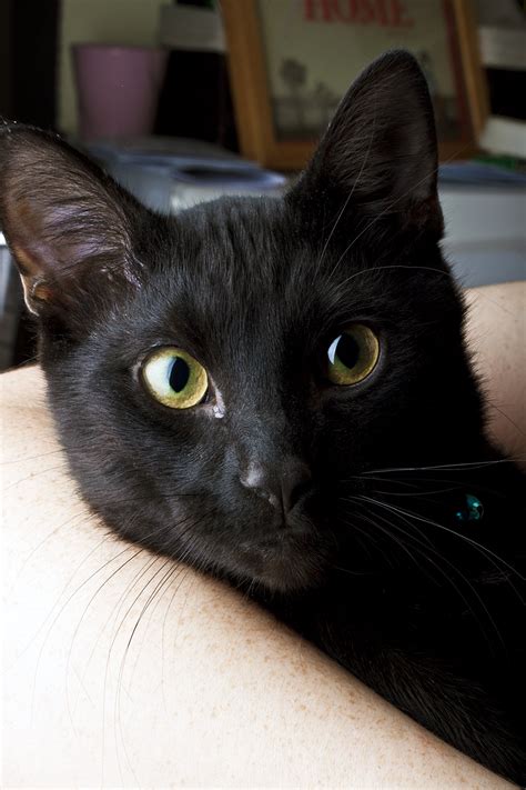 Jacks Model Shot One Light Setup Imgur