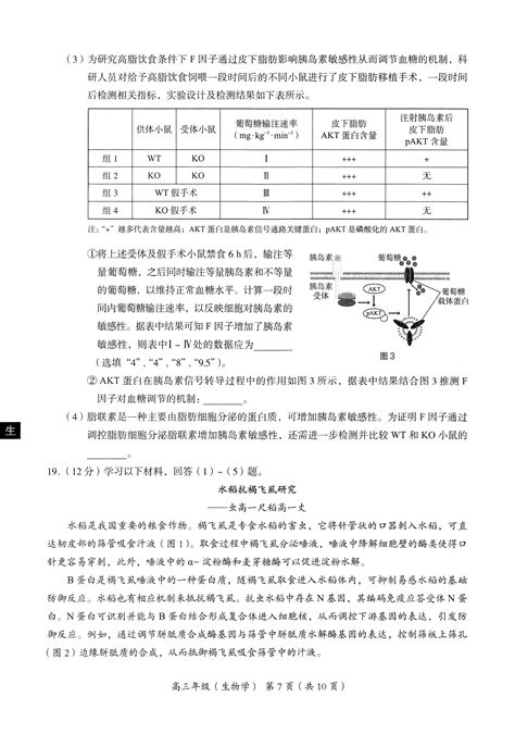 2023 2024学年北京海淀区高三期末生物试题及答案北京高考在线