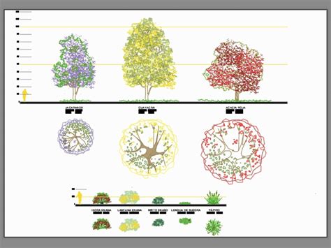 Greenery Plan And Elevation In AutoCAD CAD 5 53 MB Bibliocad