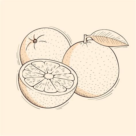 Ilustra o de contorno laranja desenhada Vetor Grátis