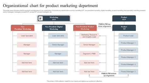 Product Management Organization Chart Organizational Structure