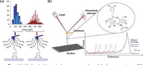 Figure 11 From Interfacial Chemistry Of Catechol Based Nanostructures