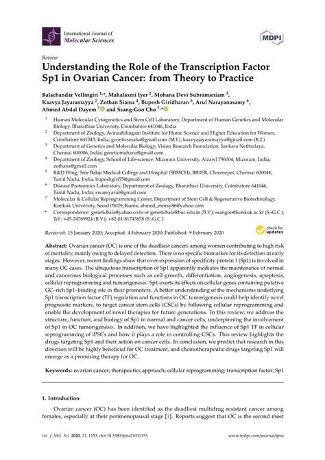 Understanding The Role Of The Transcription Factor Sp1 In Ovarian