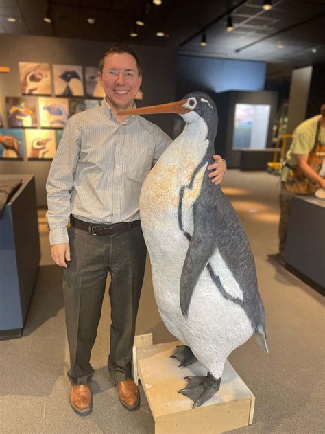 Mega Penguins The Tallest Largest Most Amazing Penguin Species To