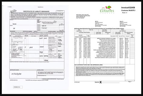 Top Docsumo Alternatives For Data Extraction