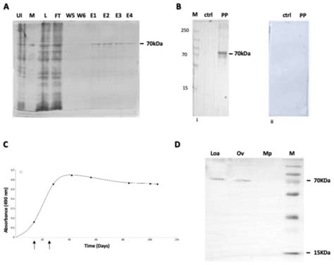 Pathogens An Open Access Journal From Mdpi