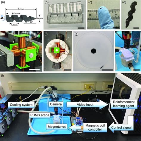 Hardware For Real‐world Control Of Magnetic Microrobots Using Rl A Download Scientific