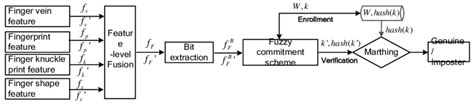 Finger Multi Biometric Cryptosystem Using Feature Level Fusion In Download Scientific Diagram