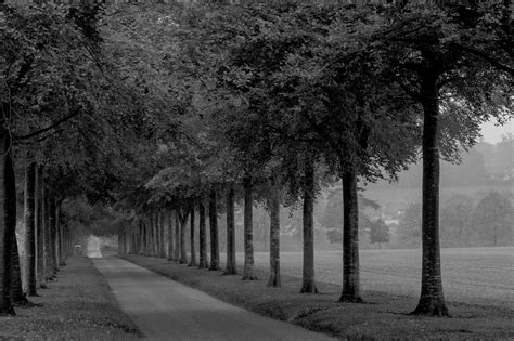 Further Housing Credits For Nutrient Mitigation Scheme Announced Property Notify