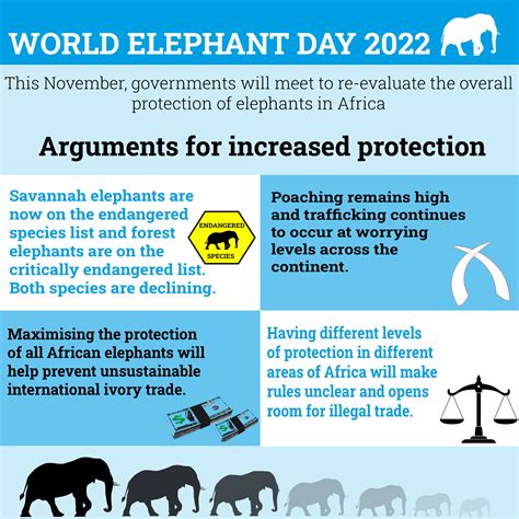 Elephant Poaching In Africa