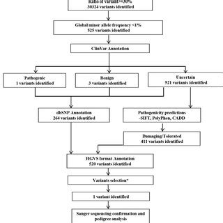 The Workflow Of Analysis Of Whole Exome Sequencing Data And The Download Scientific Diagram