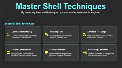 By Mastering These Shell Techniques You Can Also Become A Senior