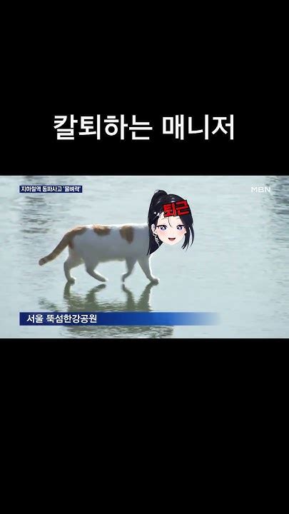 꽁꽁 얼어붙은 한강 위로 이브가 퇴근합니다 Youtube