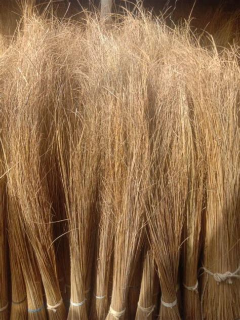 Coconut Broom Stick Hsn Code And Gst Rate At Tracy Jacoby Blog