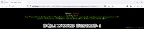 Sqli Labs靶场通关笔记（1~21关）sql Libs靶场过关笔记 Csdn博客
