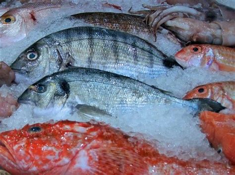 Como saber si el pescado está fresco Poesía de Fogón