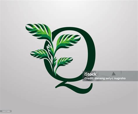 편지 Q 몬스터 그린 식물 아이콘 열대 잎 장식 로고 0명에 대한 스톡 벡터 아트 및 기타 이미지 0명 건강한 생활방식