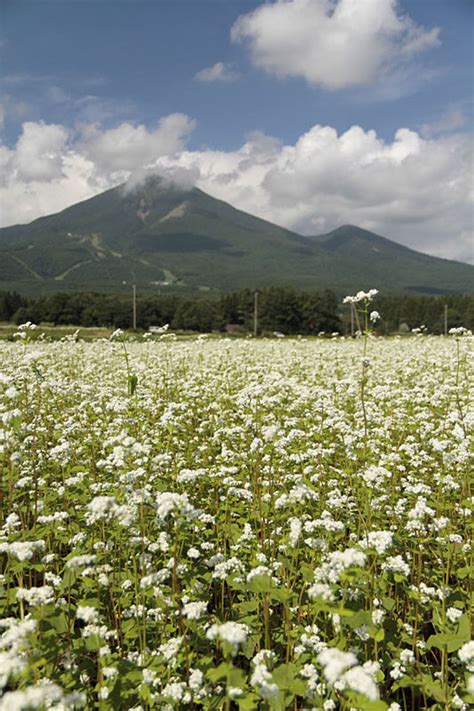 磐梯山福島県観光フォトライブラリ 法人教育団体メディアの皆様向けふくしまの旅