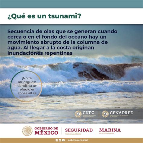 Un Tsunami No Coordinación Nacional De Protección Civil