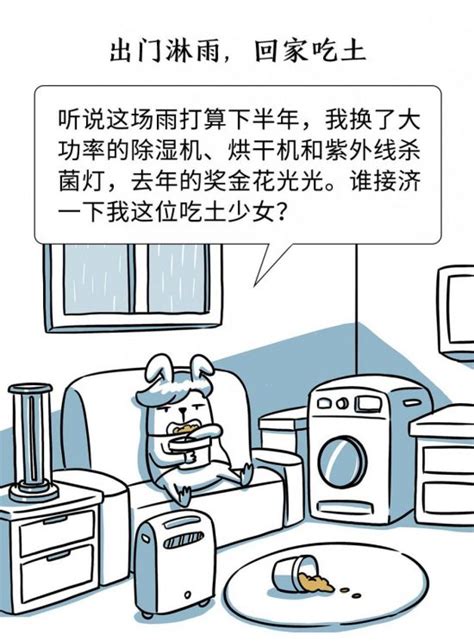 一個人要擁有多少內褲，才能安居在南方