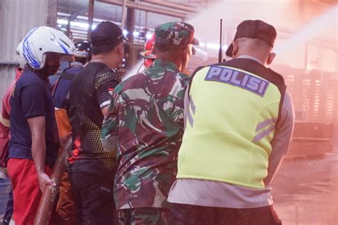 Personel Tni Polri Bersama Damkar Berjibaku Padamkan Kobaran Api