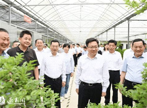 跟着书记、市长观摩去！宿迁乡村张媛媛