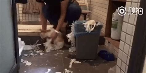 When I Help The Intern With His Messed Up Production Deployment The Coding Love Programmer