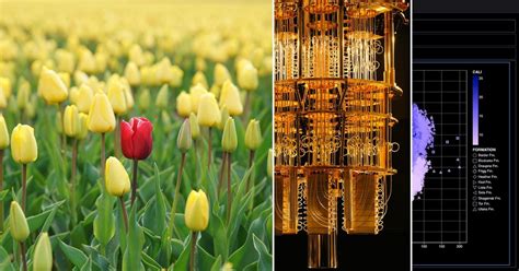 List Datasets Curated By Nohup Medium