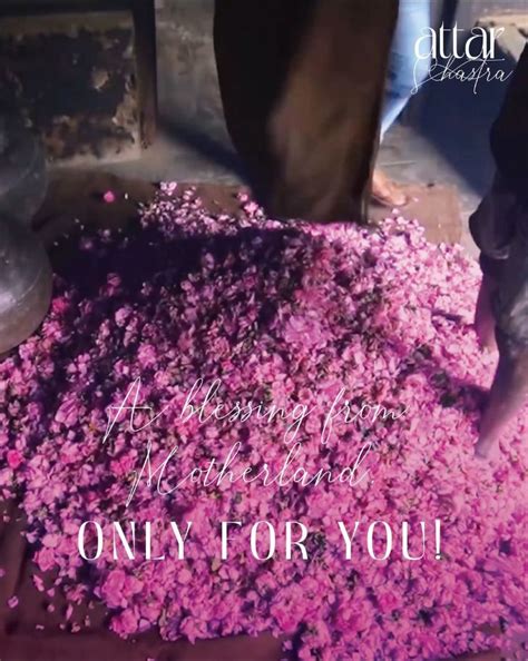 anwesh bhattacharyya on linkedin attar perfumes perfumeaddict