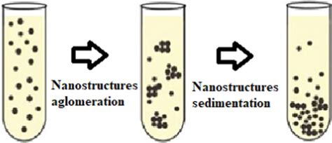 Sedimentation In Nanofluids Due To Agglomeration Of Particles Download Scientific Diagram