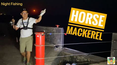 V24 Night Fishing Horse Mackerel Matang Baka Youtube