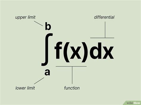 How To Find The Area Under A Curve Instructions Examples