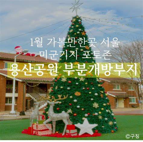 1월 가볼만한곳 서울 용산공원 부분개방부지 미군기지 포토존 네이버 블로그