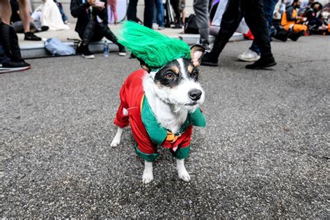 The Joker At Nycc Photos