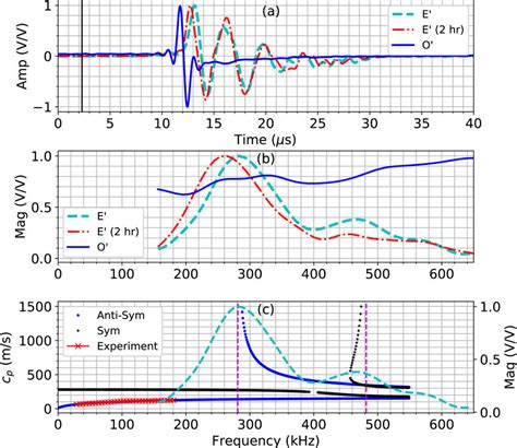 A Time Domain Waveforms With 2 H Difference Measured On The Abaxial